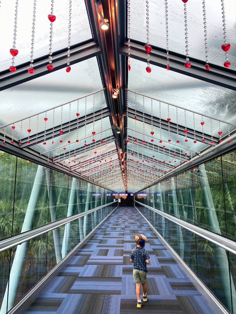 6 Expert Tips for Visiting Orlando Science Center with Kids - Orlando ...