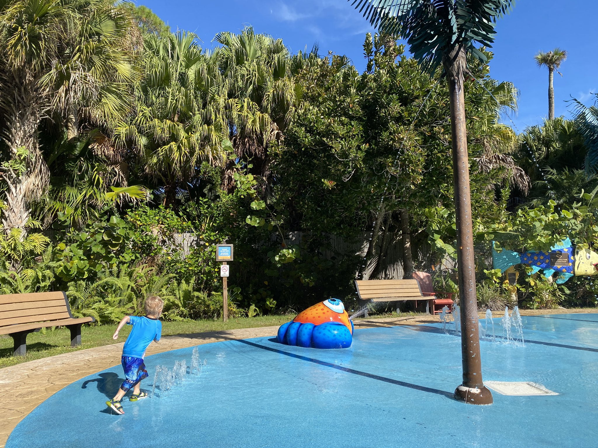 14 of Orlando's Best Outdoor Activities with Kids - Orlando Parenting ...