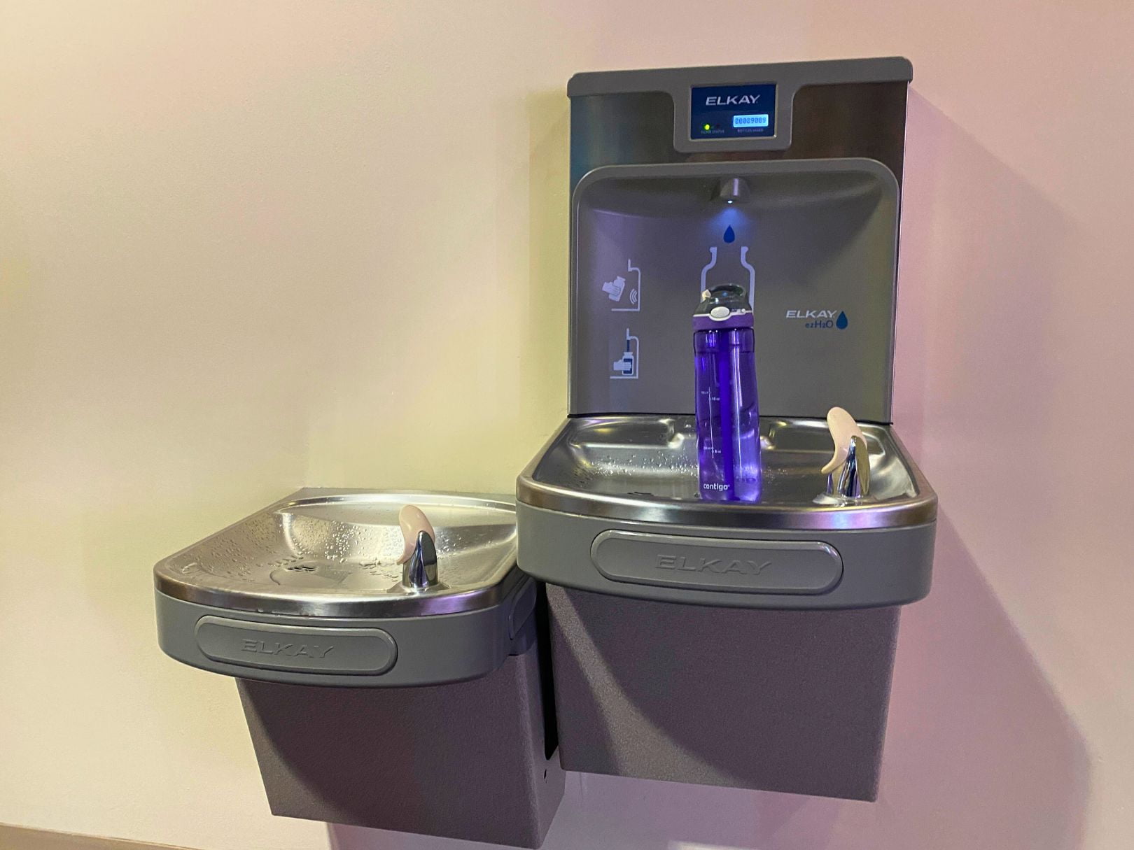 6 Expert Tips for Visiting Orlando Science Center with Kids - Orlando ...