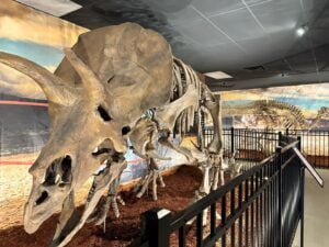 5 Things to Do at Dinosaur World Florida You Probably Didn't Know About ...