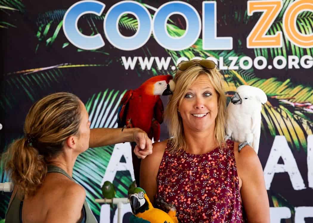 Visit Unique Animals Indoors at Cool Zoo on International Drive Orlando ...