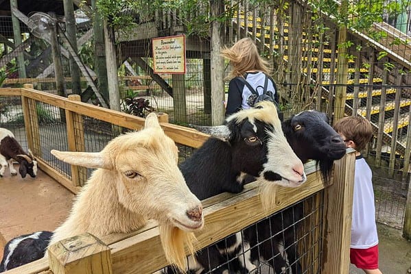 Helpful Central Florida and Orlando Homeschooling Groups, Networks, and Co-Ops - Orlando ...