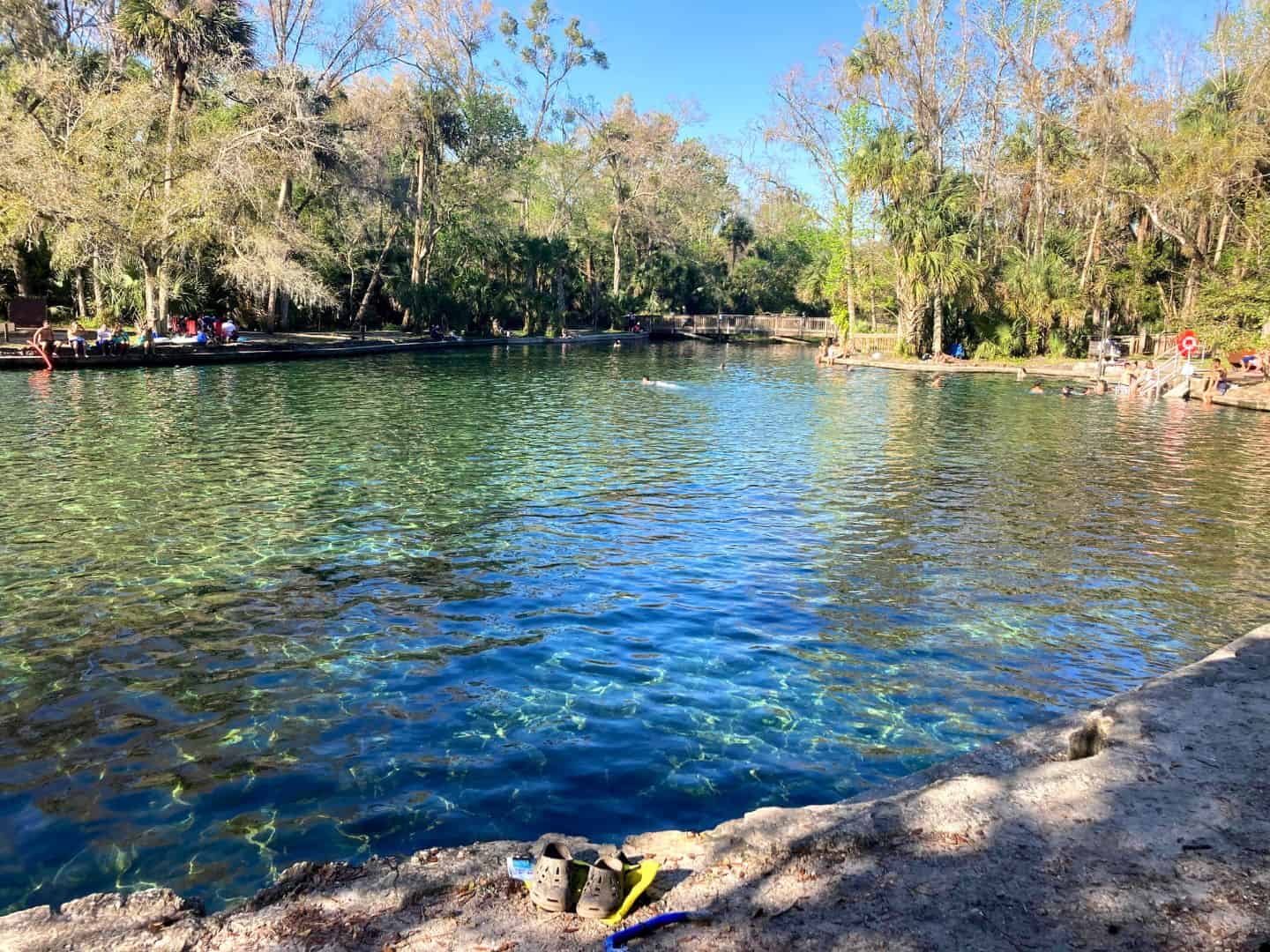 A Kid Friendly Day at Wekiwa Springs State Park Near Orlando - Orlando ...