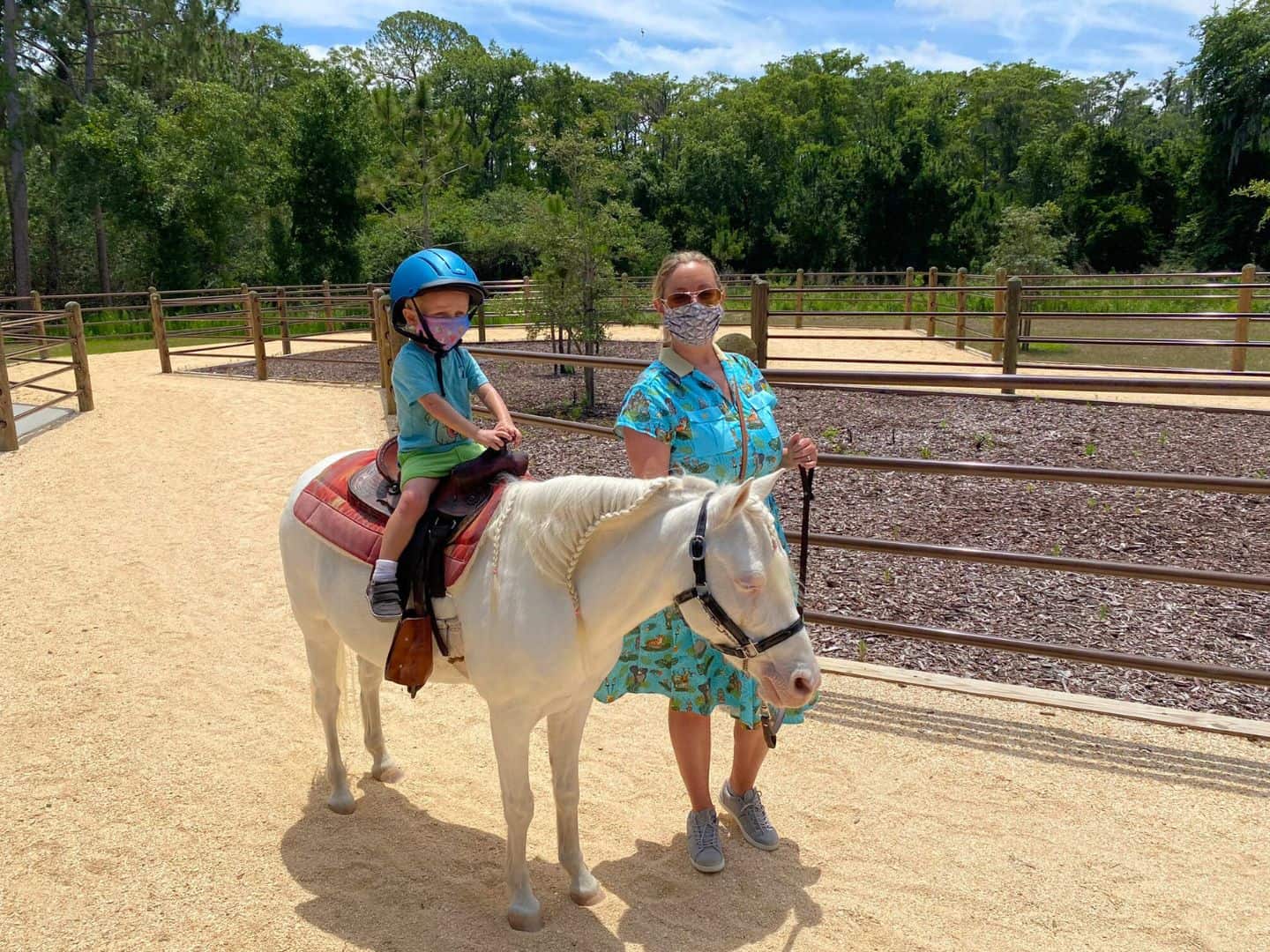 Best Orlando Petting Zoos and Small Farms for Cuddle Time with Kids ...