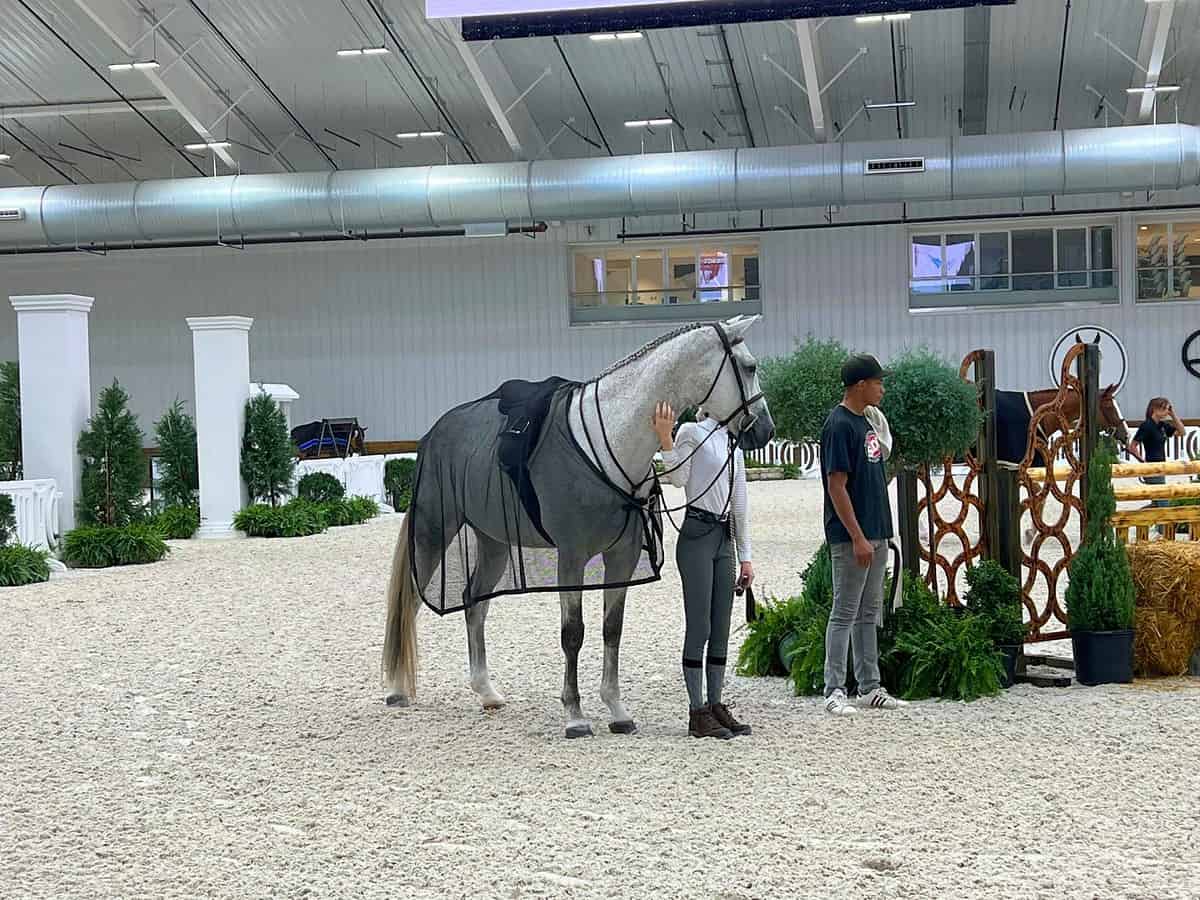 Orlando Road Trip: Why The Equestrian Hotel in Ocala is an Easy Family ...