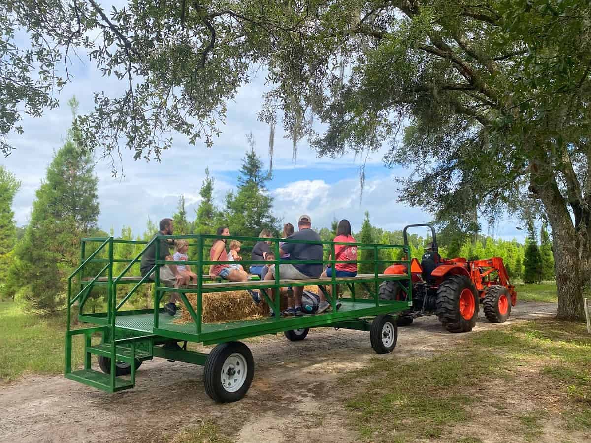 8 Best Hayrides in Orlando for Frolicking Fall Family Outing - Orlando ...