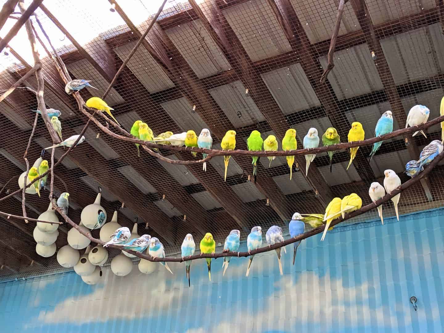Unleash A Day of Adventure and Family Fun at Gatorland Orlando ...