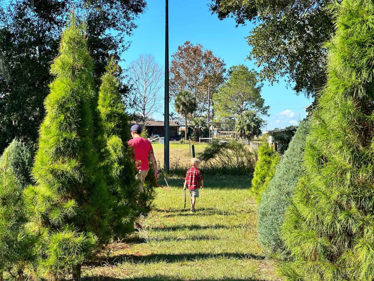 6 Adorable Christmas Tree Lots in Orlando to Visit with Kids - Orlando ...