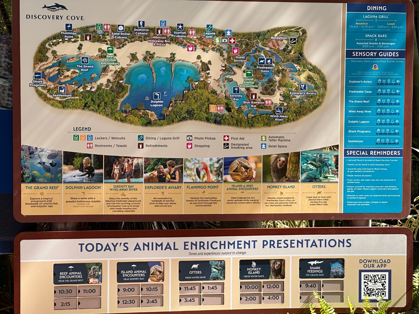 12 Incredible Ways to Interact with Animals at Discovery Cove - Orlando ...