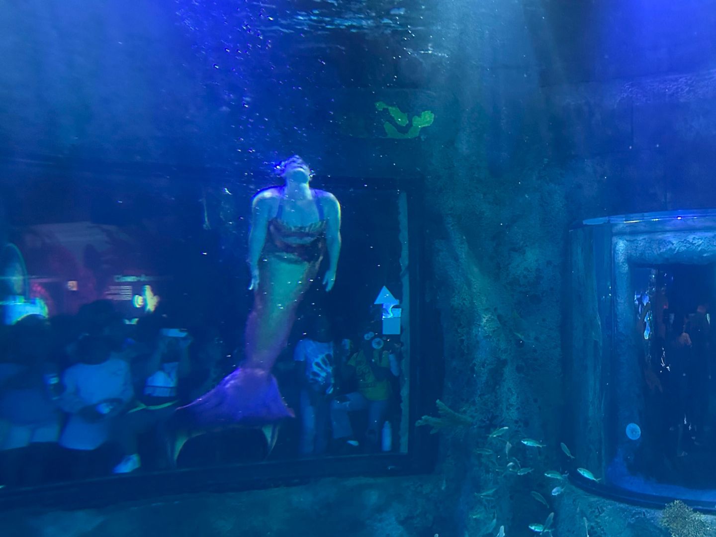 Top 30 Things To Do With Kids In Orlando This Summer - Orlando ...