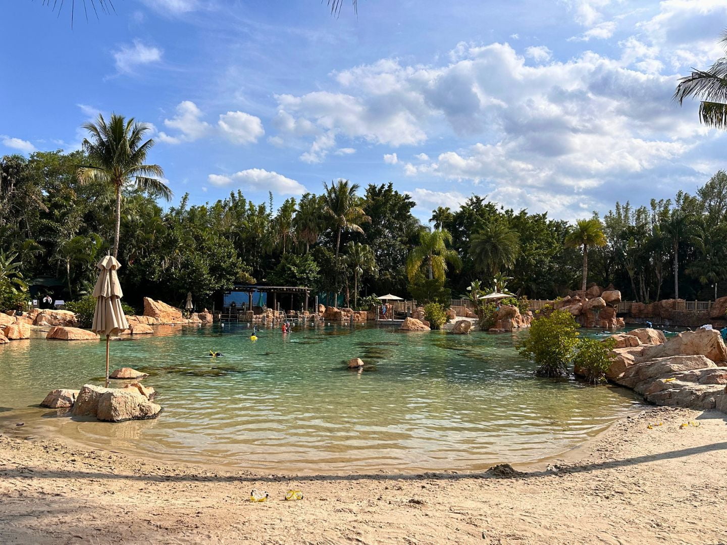 12 Incredible Ways to Interact with Animals at Discovery Cove - Orlando ...