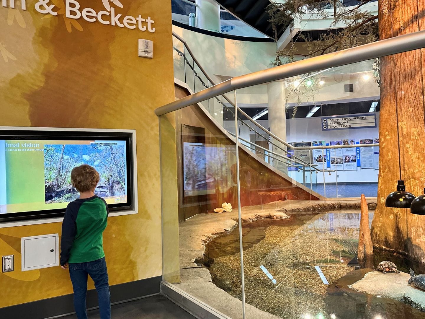 6 Expert Tips for Visiting Orlando Science Center with Kids - Orlando ...