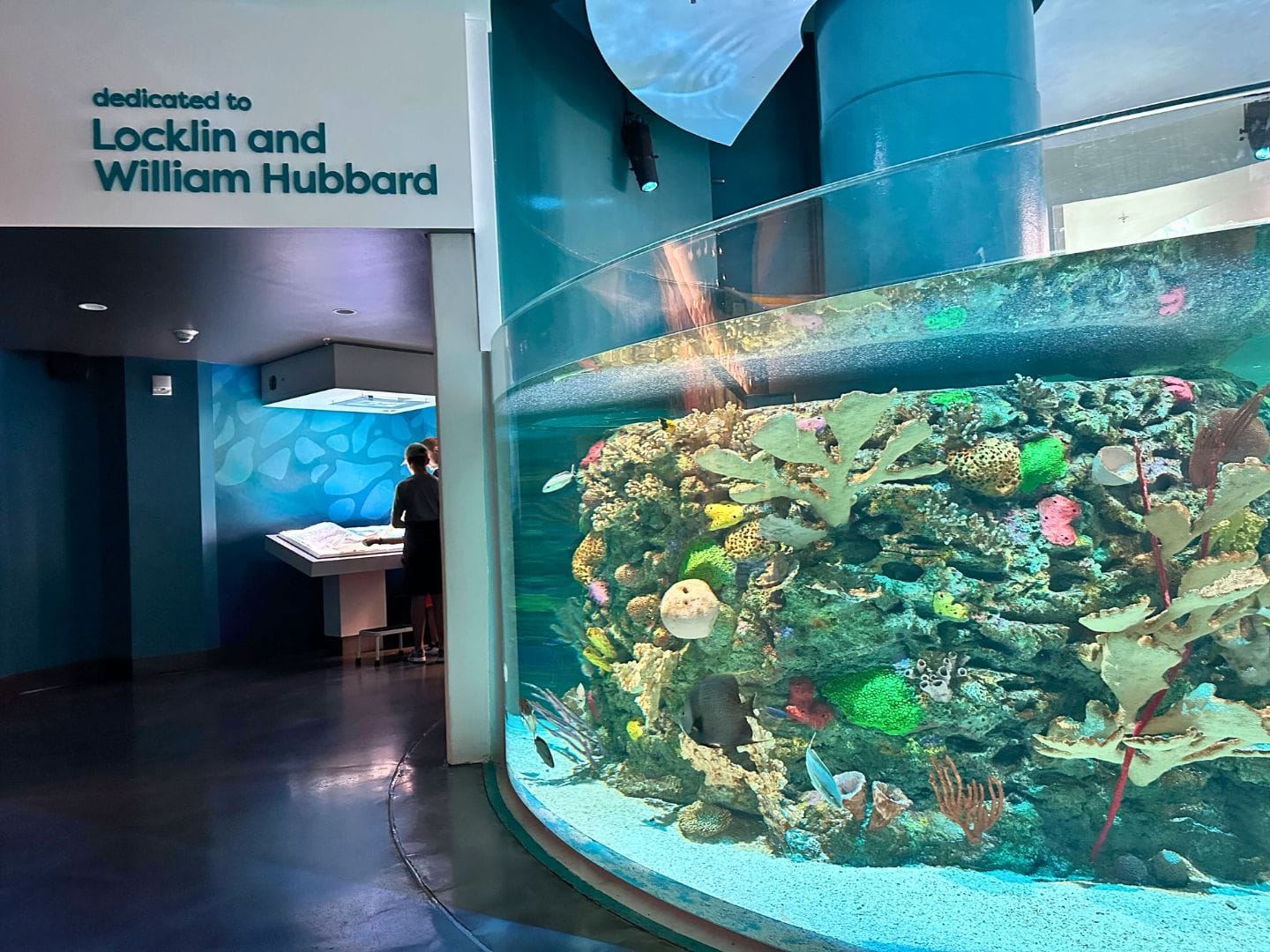 The Best Orlando Zoos, Aquariums, and Animal Encounters for Kids ...