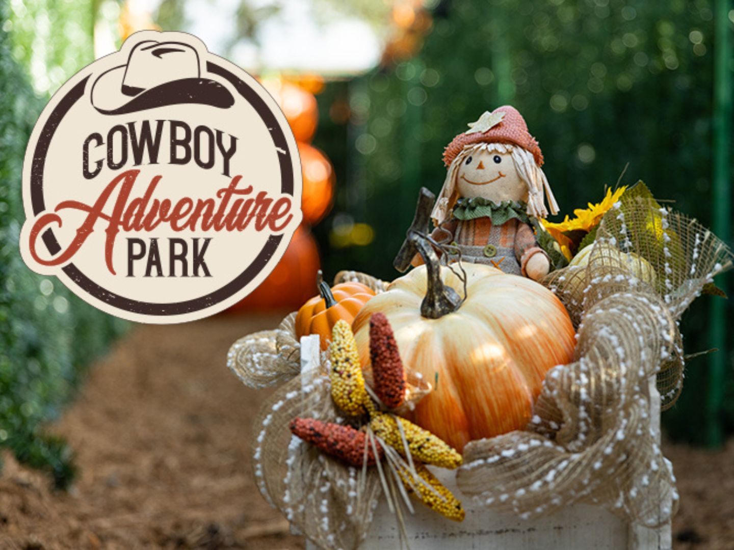 10 Adorable Pumpkin Patches in Orlando for Family Photos - Orlando ...