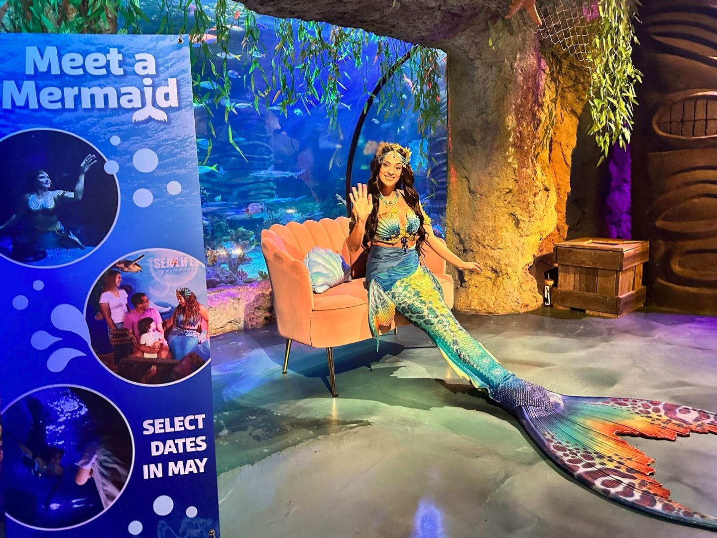 23 Family-Friendly Things to do this Memorial Day Weekend in Orlando ...