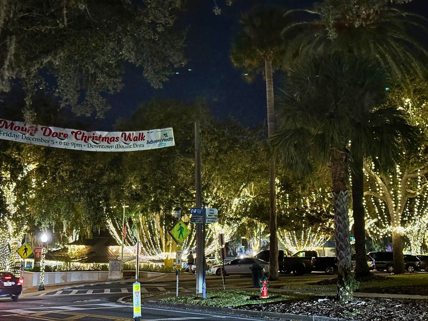 Mount Dora Christmas Lights With Kids: A Parent’s Planning Guide ...