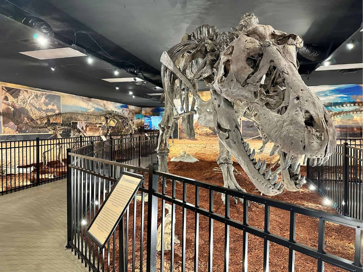 5 Things to Do at Dinosaur World Florida You Probably Didn’t Know About ...
