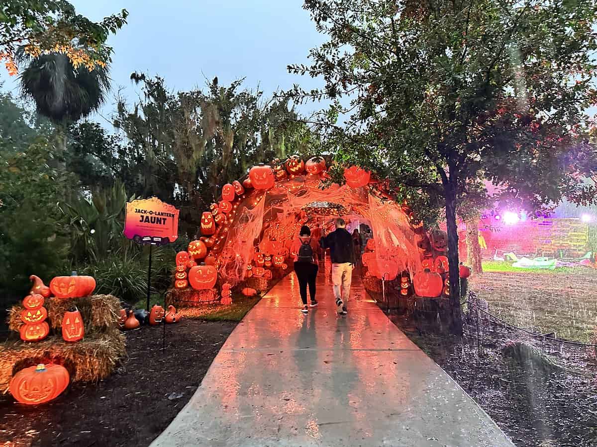 The Best Family Friendly Fall Events in Orlando - Orlando Parenting ...