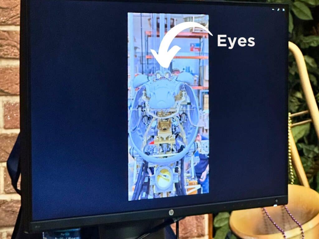 A Parent’s Guide to Tiana’s Bayou Adventure at Magic Kingdom – What To ...